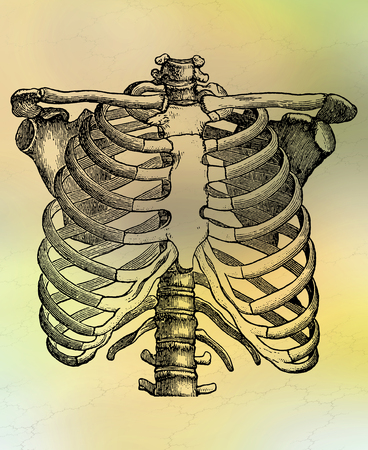 PECTUS EXCAVATUM | todo lo que necesitas saber obre esta cirugía | www ...